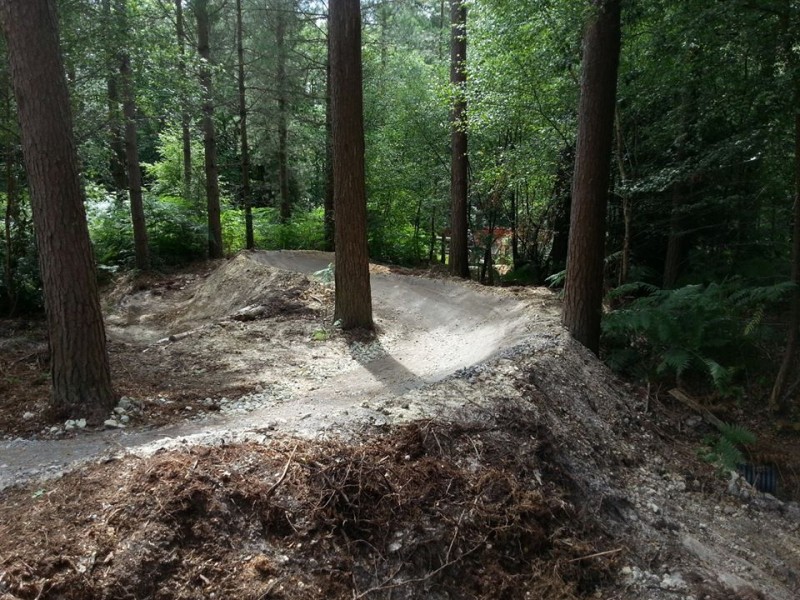 Bedgebury Forest Mountain Bike Trails - Trail Guide and Reviews - iBikeRide