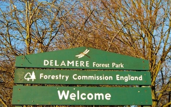 Delamere Forest Mountain Bike Trails
