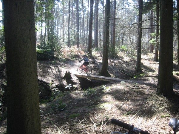 Bedgebury Forest Mountain Bike Trails - Trail Guide and Reviews - iBikeRide
