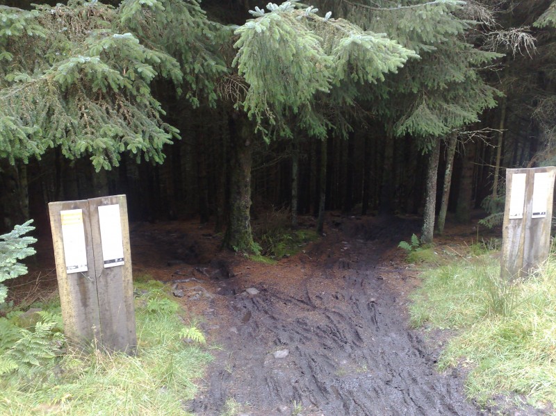 Innerleithen Mountain Bike Trails - Trail Guide and Reviews - iBikeRide