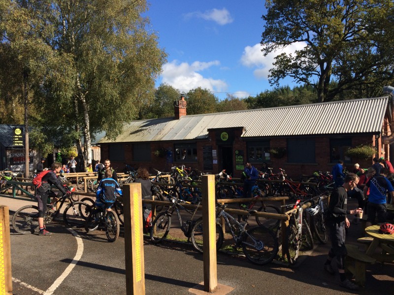 Forest of Dean Mountain Biking Trails