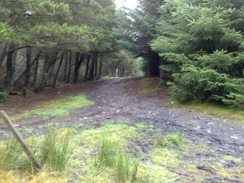 Innerleithen Mountain Bike Trails - Trail Guide and Reviews - iBikeRide