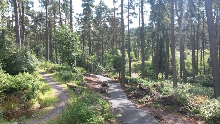 Callendar Estate Mountain Bike Trails and Greenrig Bike Park - Trail ...
